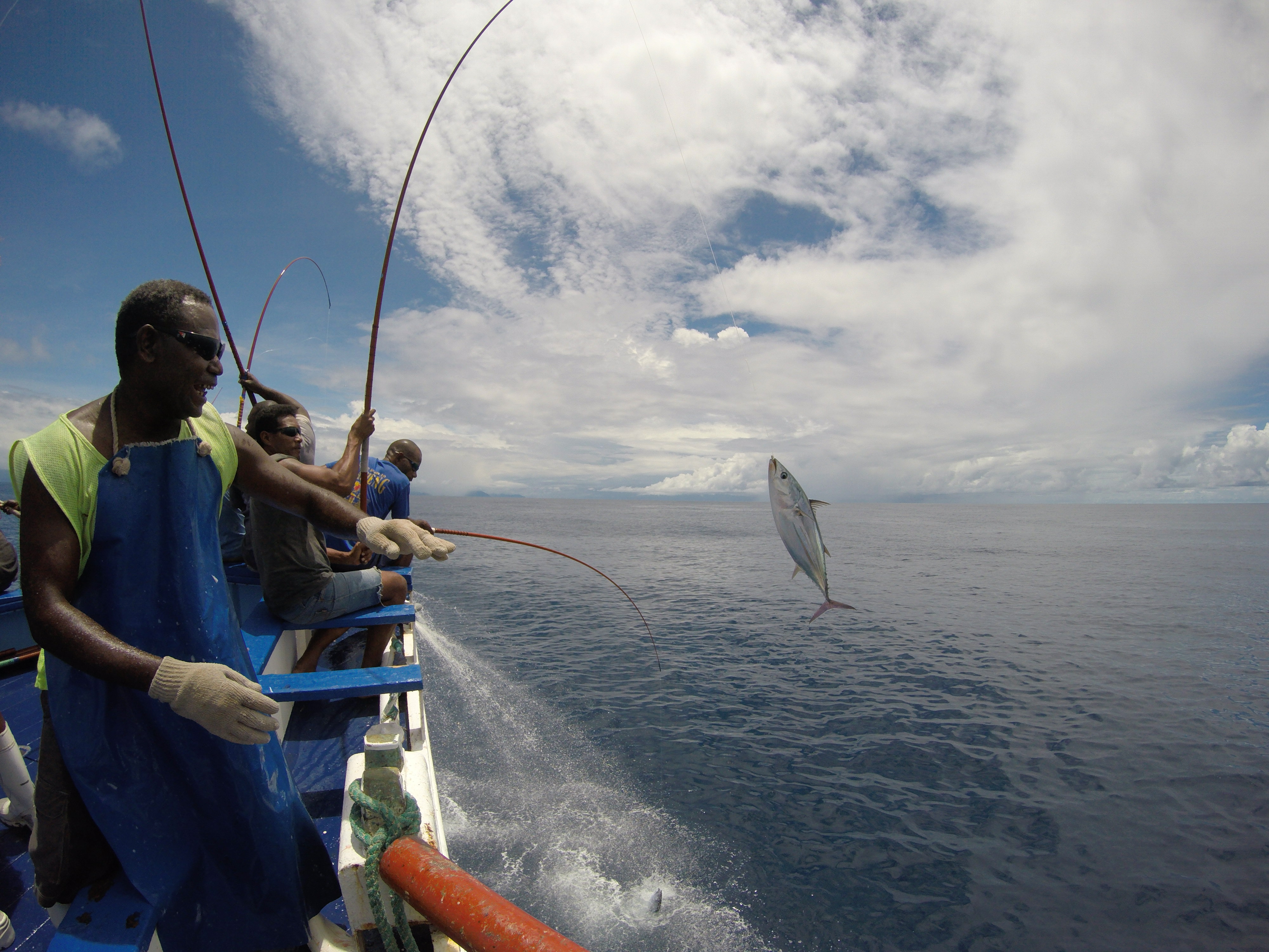 Solomon Islands pole-and-line skipjack tuna | Sourcing Transparency ...