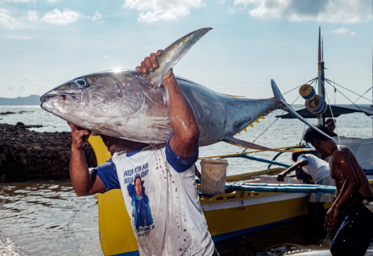 Senegal pole-and-line yellowfin tuna | Sourcing Transparency Platform